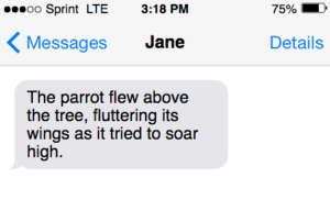 Is it Flys or Flies? Which is Correct? (Examples) | GrammarBrain